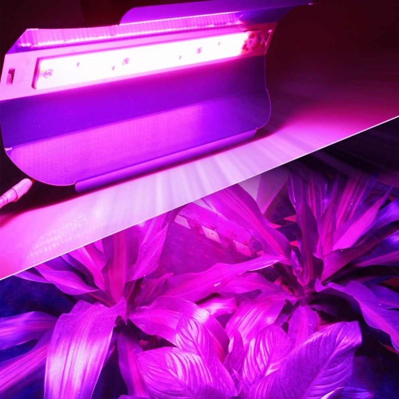 Panel Reflector Full Espectro Cultivo Indoor 50W Grow, Cob Led - Tienda8